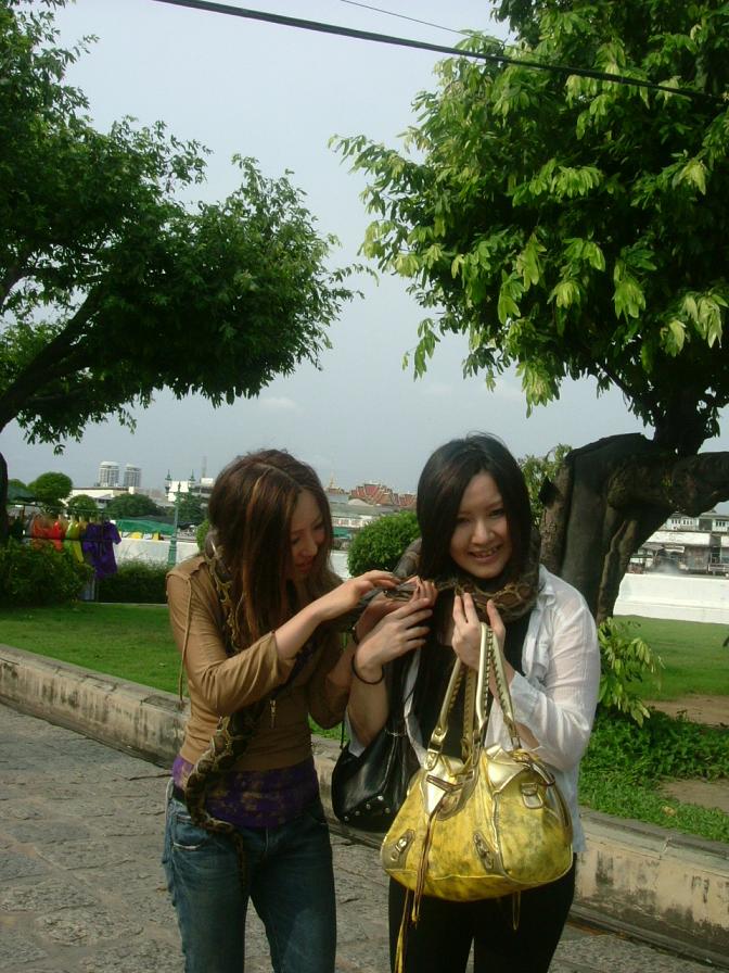 日記: ★日記★